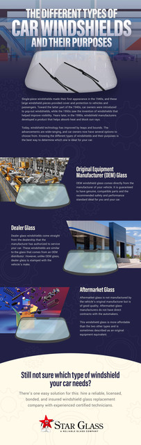 Types of Car Windshields and Their Purposes | Infographic of the Week ...